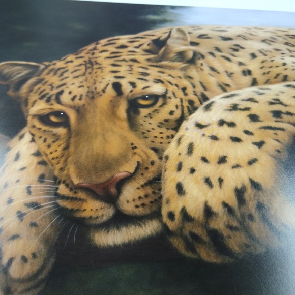 Harold Rigsby | Wall Decor | Leopard By Harold Rigsby 2150 Signed ...